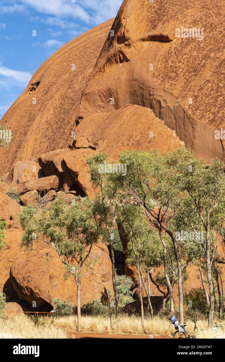 Pulari (headland) of Uluru with trees at its foot. Uluru-Kata Tjuta ...