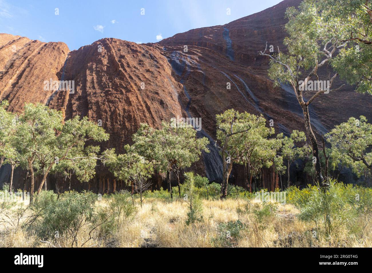 Kuniya Piti on the southeastern aspect of Uluru, Uluru-Kata Tjuta ...