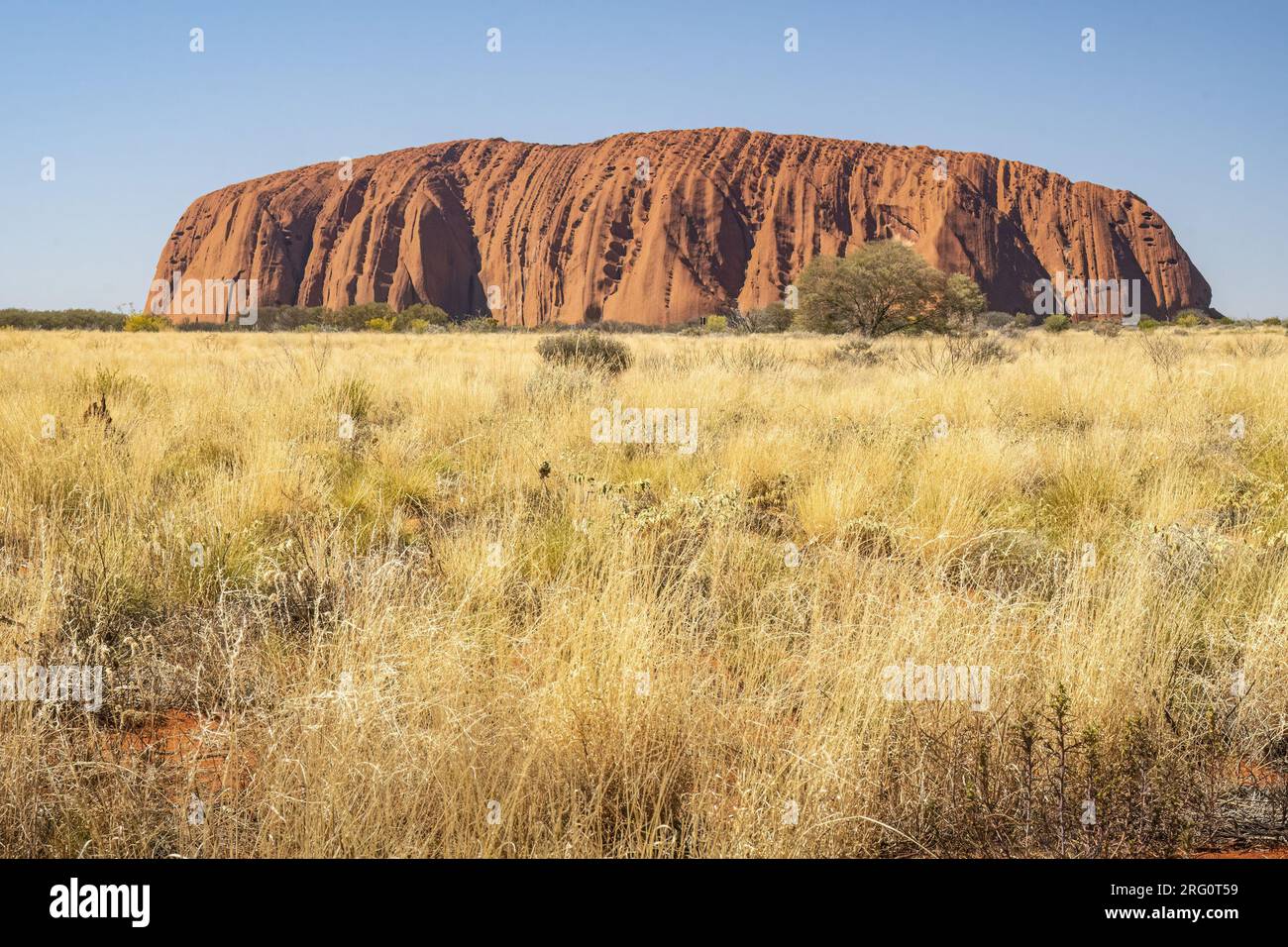Uluru, northwest and southwest aspect, in early morning. Uluru-Kata ...