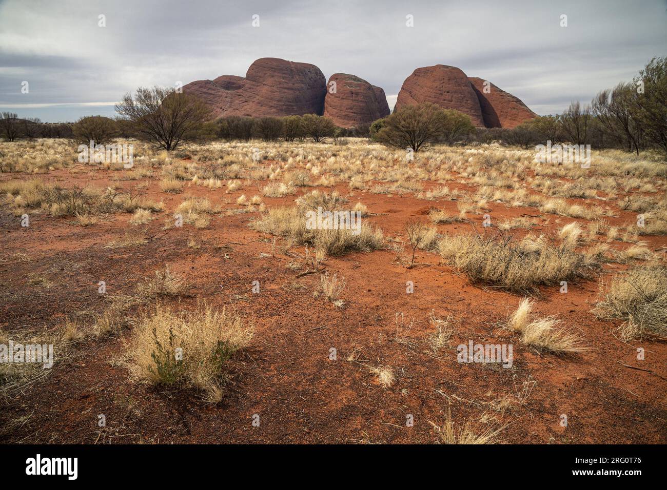 Western view of Kata Tjuta, seen from the 'Sunset Viewing Area ...