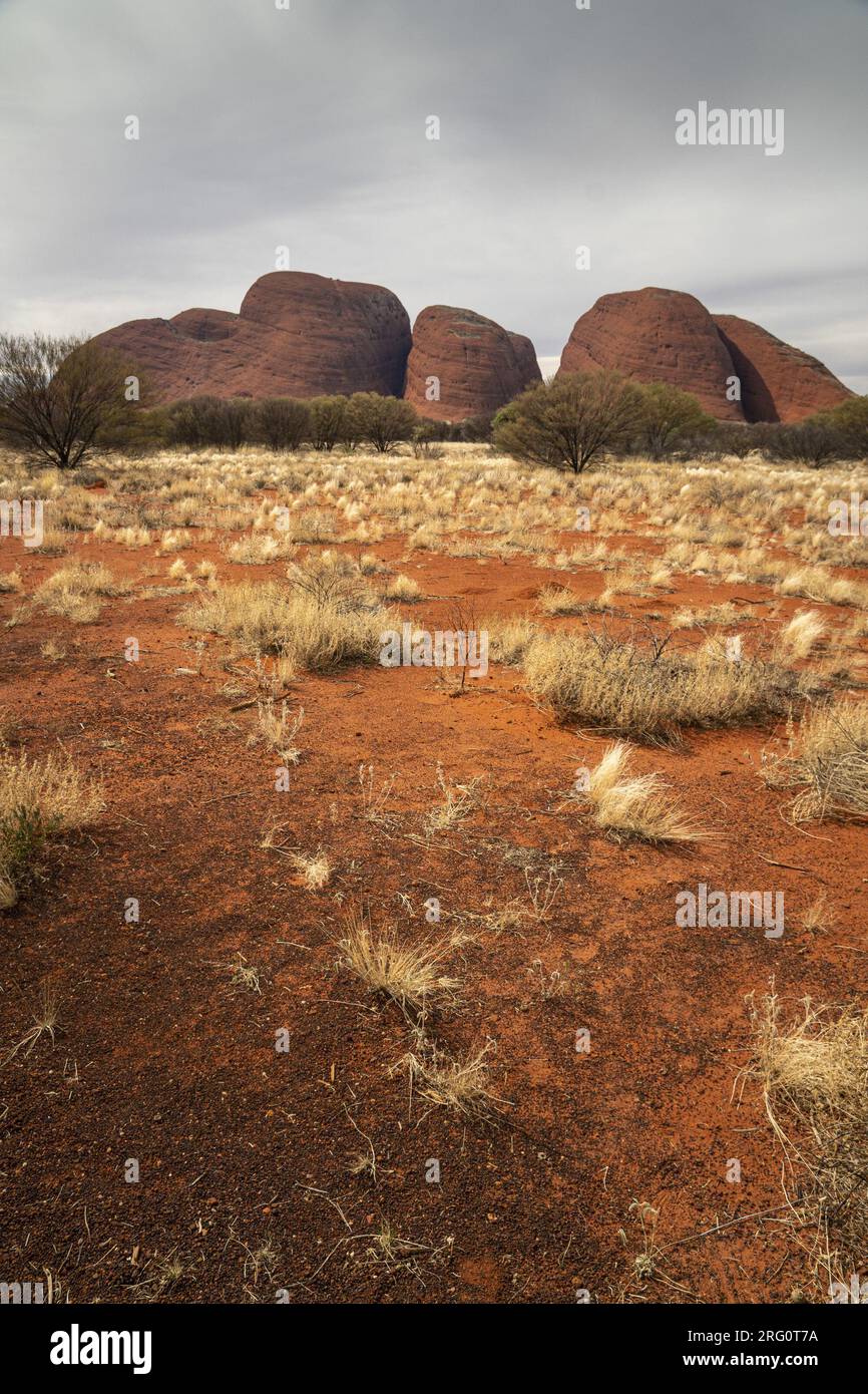 Western view of Kata Tjuta, seen from the 'Sunset Viewing Area ...