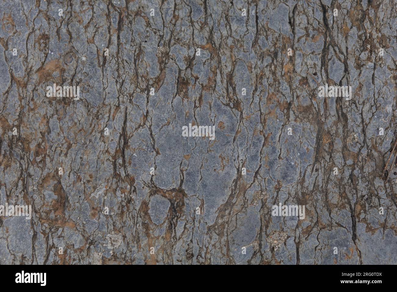 The gray stone surface has traces of age and age Stock Photo - Alamy