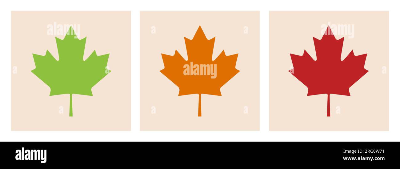 Vector set of three framed maple leaves.Autumn maple tree leaf for the ...