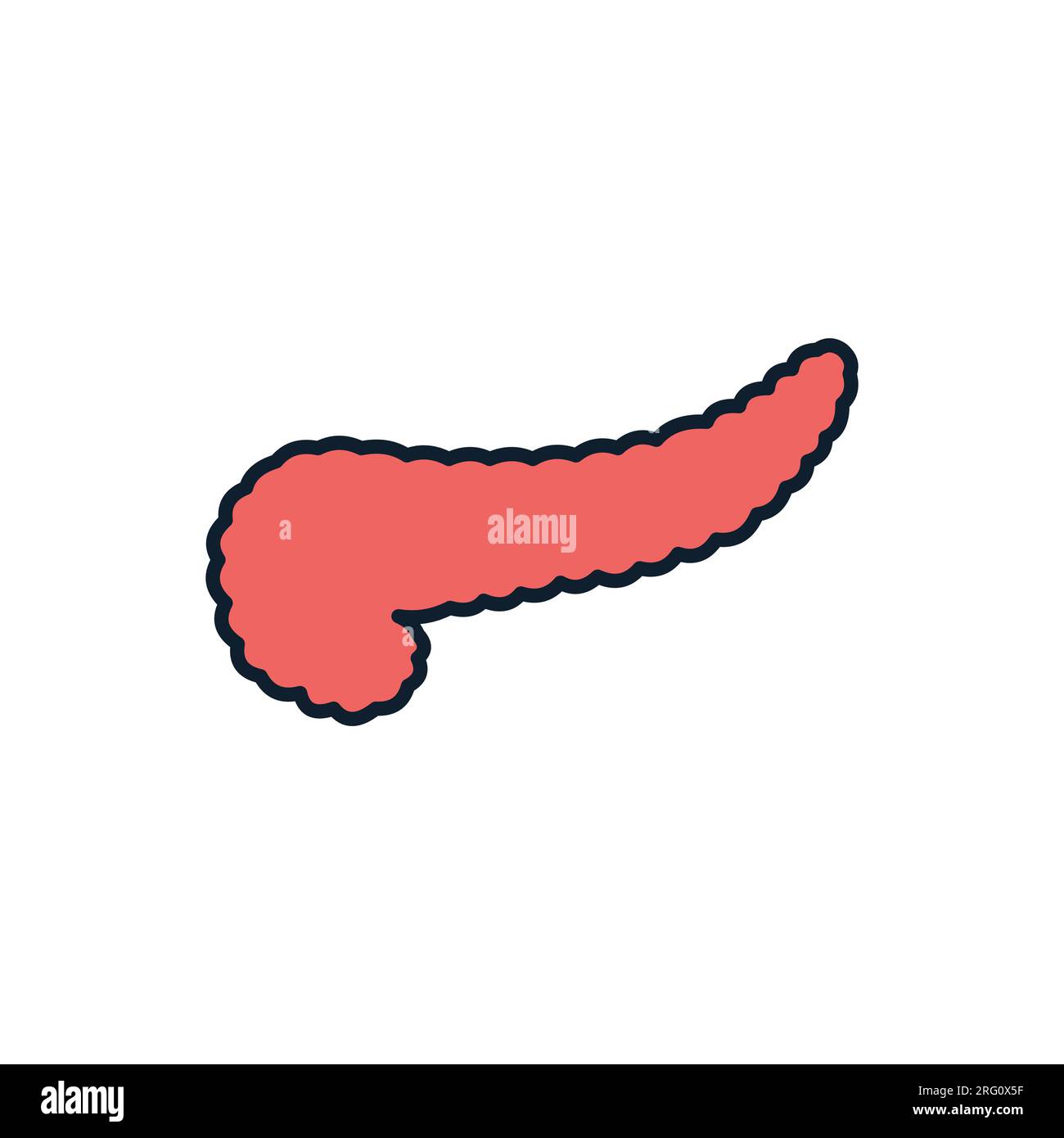 Pancreas Related Vector Line Icon. Isolated on White Background ...