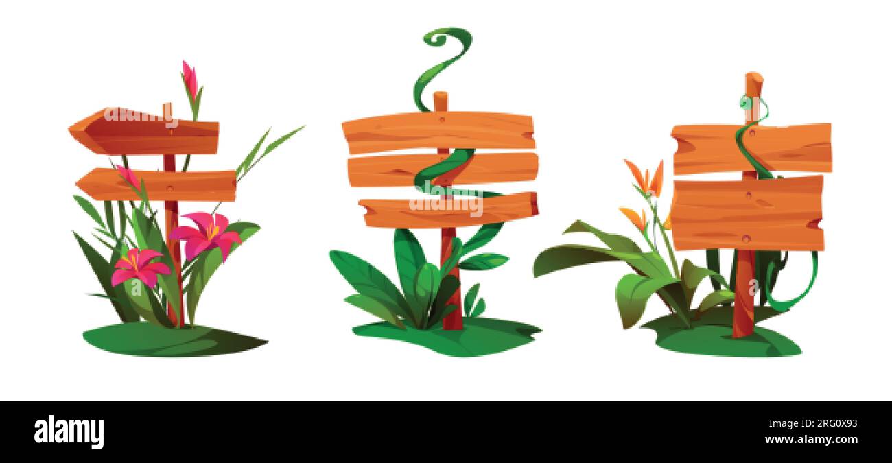 Jungle wooden sign board with plants and flowers. Cartoon vector ...