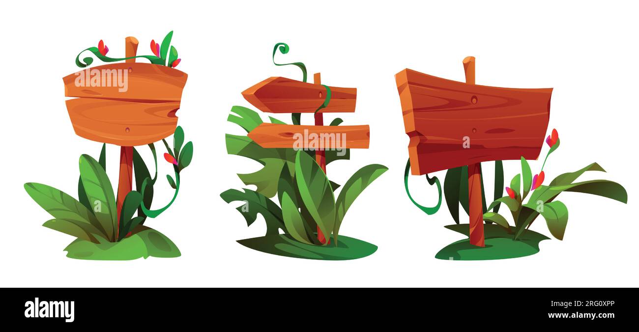 Set of jungle signboards isolated on white background. Vector cartoon ...