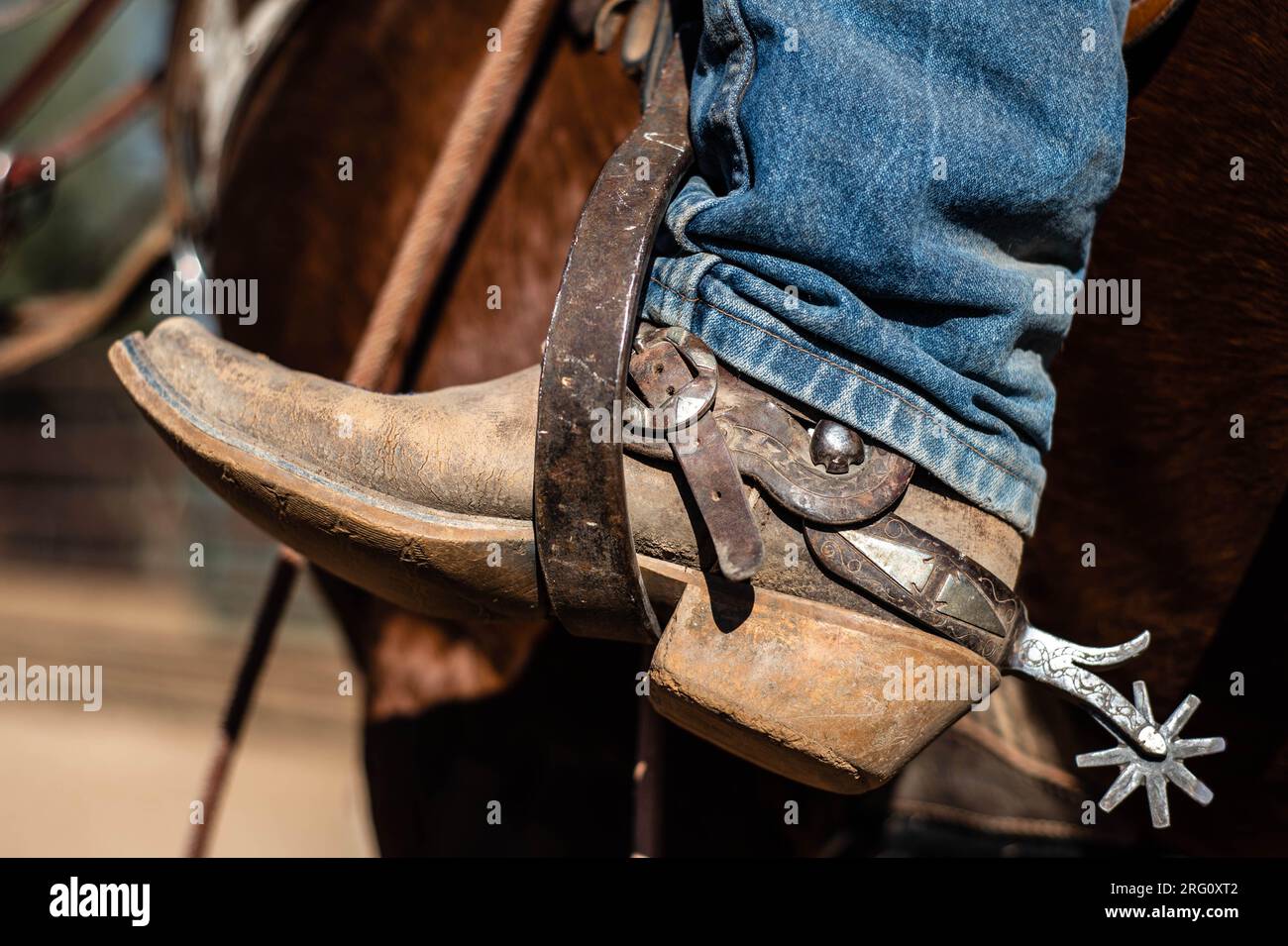 Cowboy Boot and spur Stock Photo - Alamy