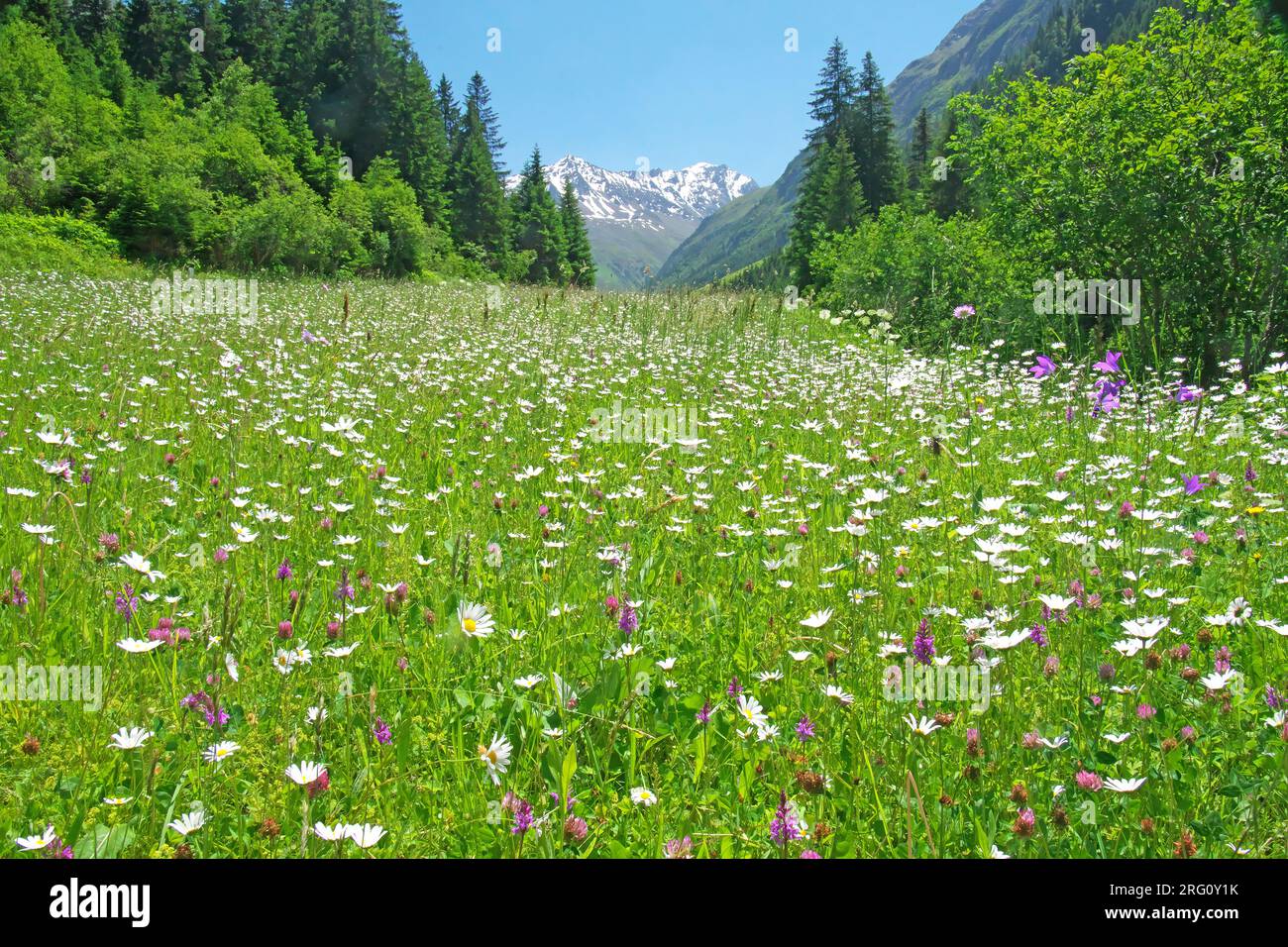 Pitze valley hi-res stock photography and images - Alamy