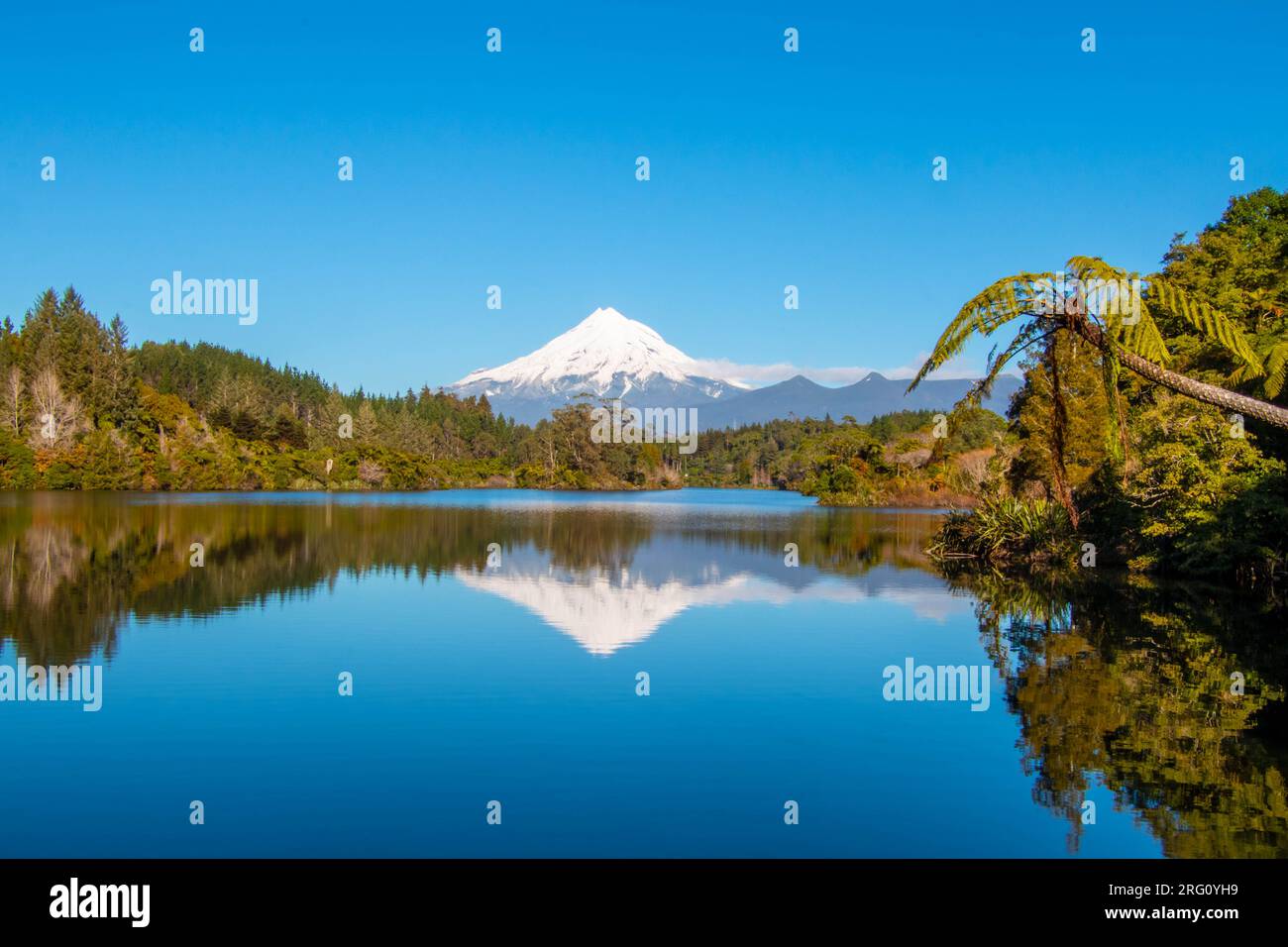 Lake Mangamahoe surrounded by native forest with stunning reflection of ...