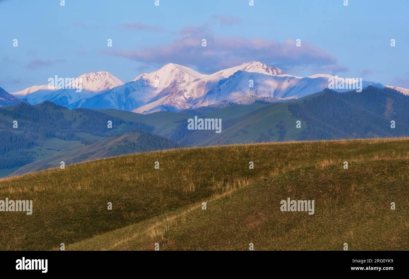 beautiful mountain landscape with snowy peaks and field. Tien Shan ...