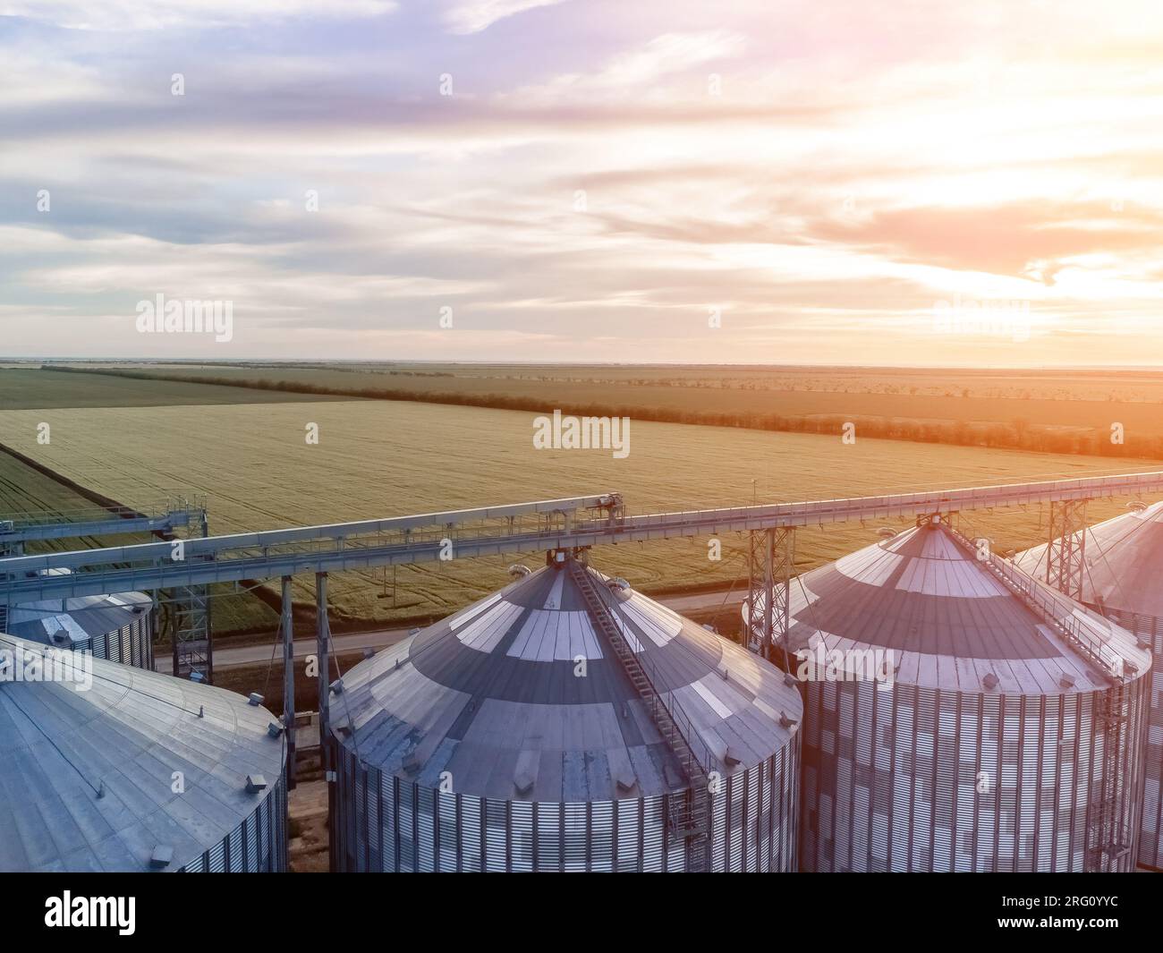Grain silos on a green field background with warm sunset light. Grain ...