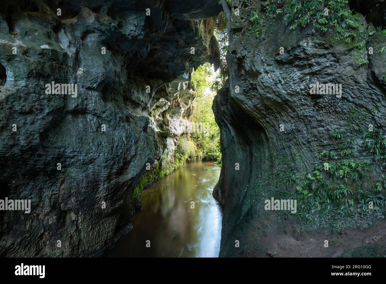 Mangapohue Stream winding its way through narrow, steep cliffs along ...