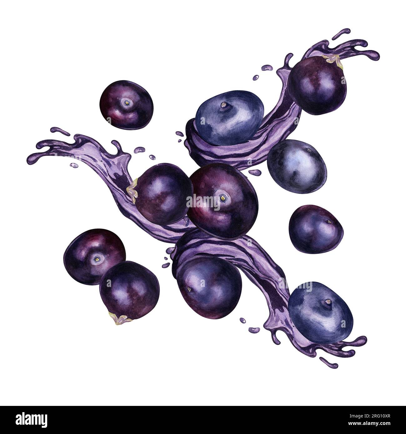 Whole acai berries Cut Out Stock Images & Pictures - Alamy