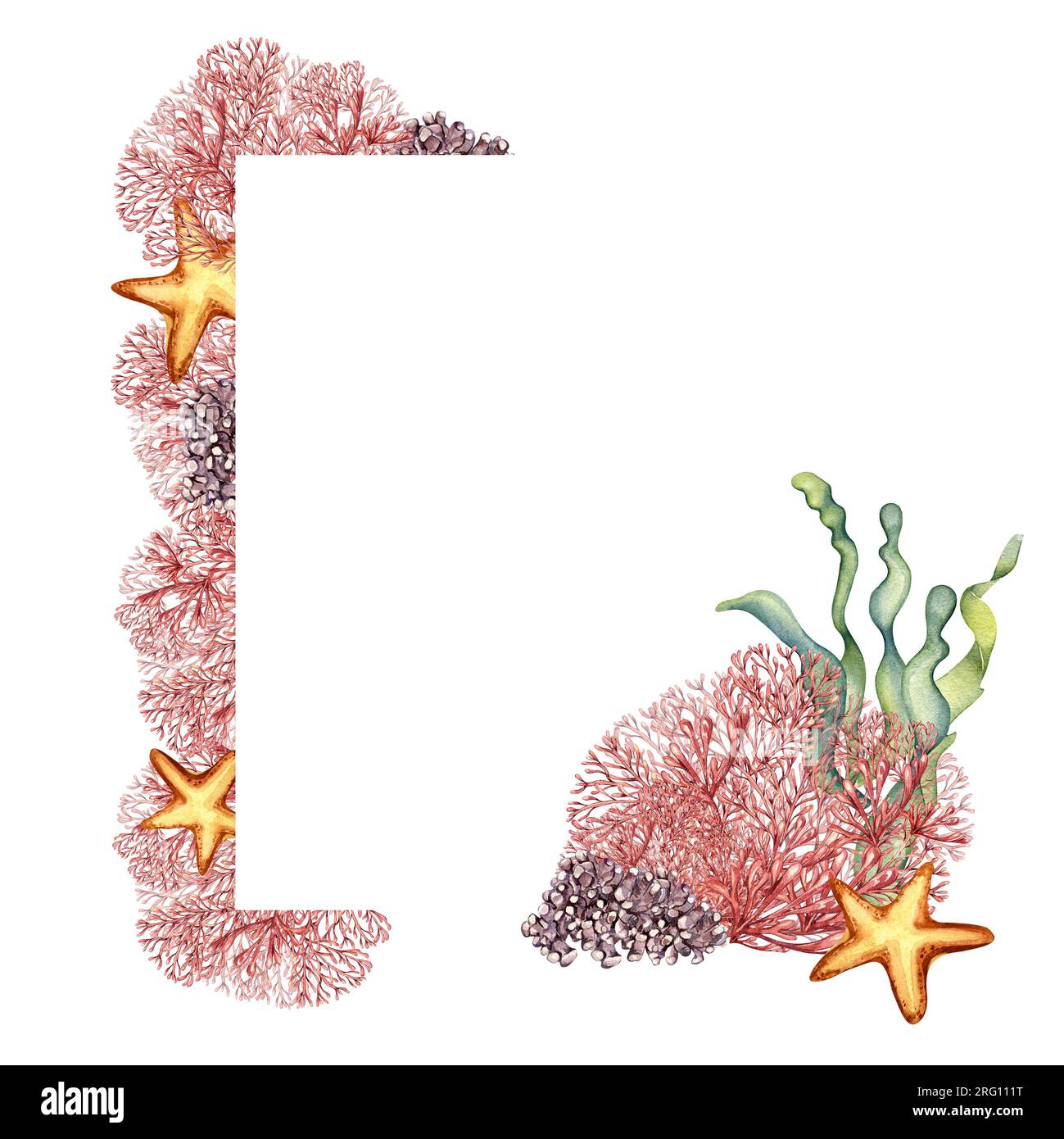 Frame of sea plants, coral, starfish watercolor illustration isolated ...
