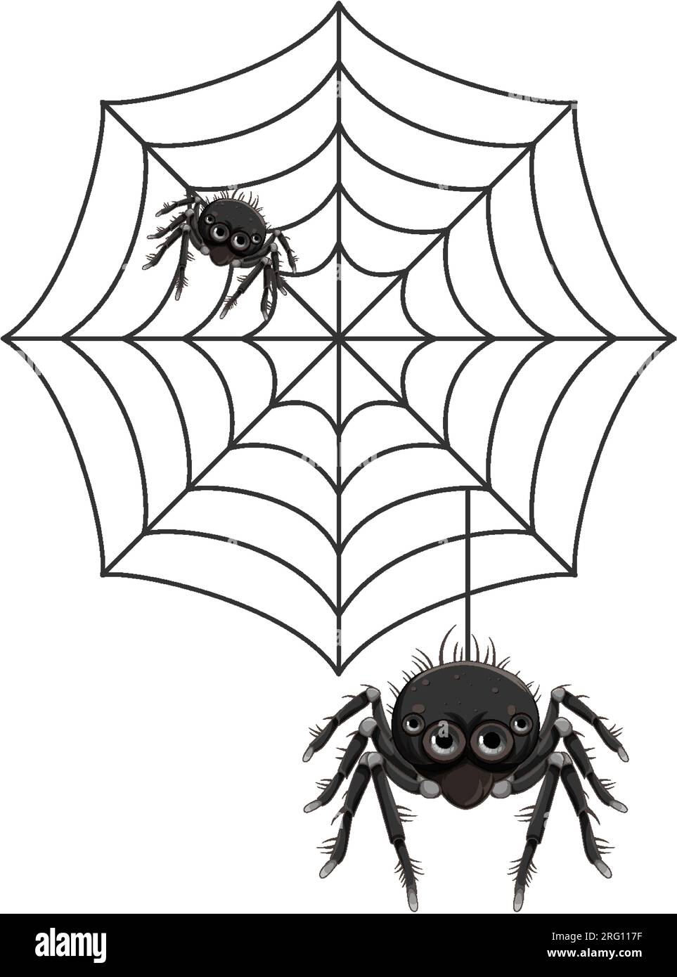 Spider on spider web cartoon isolated illustration Stock Vector Image ...