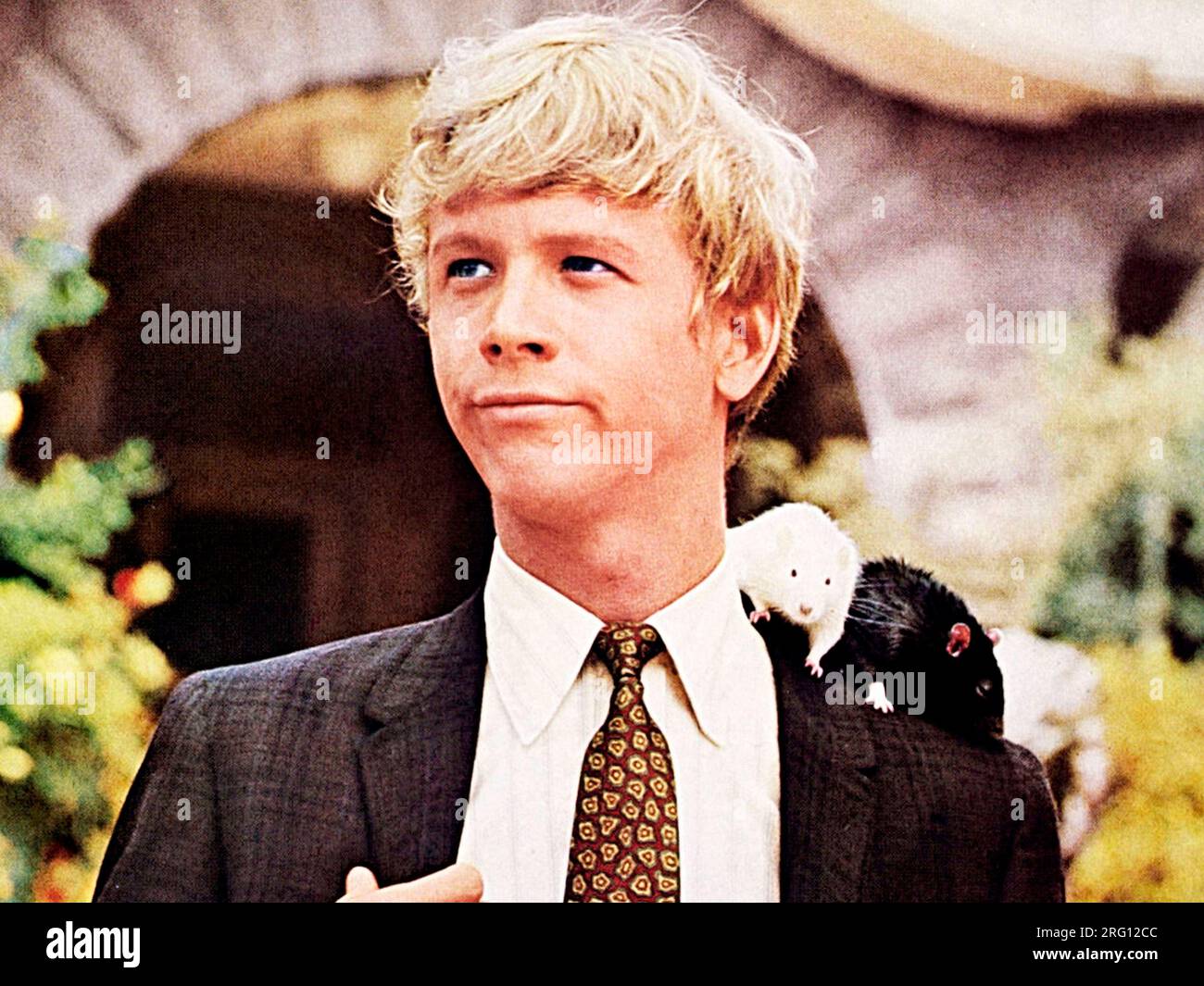 BRUCE DAVISON in WILLARD (1971), directed by DANIEL MANN. Credit: BING ...