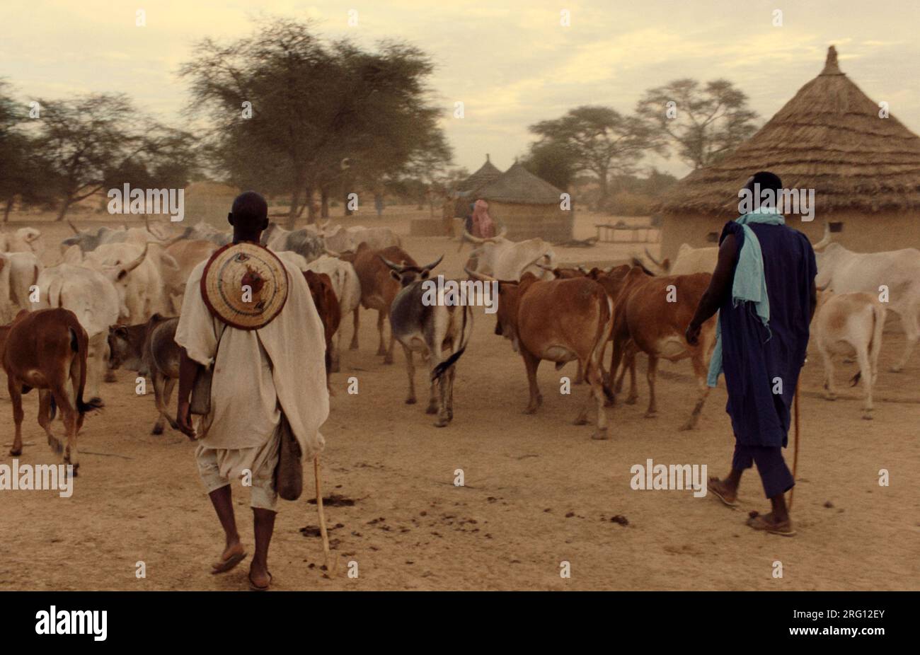 OMAR SY in FATHER & SOLDIER (2022) -Original title: TIRAILLEURS ...