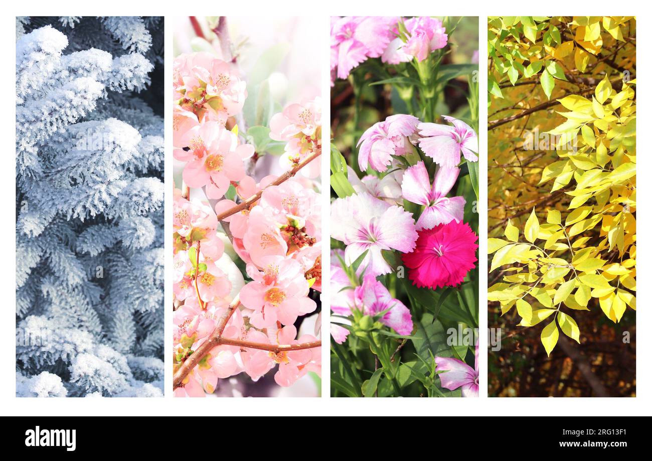 Four seasons of year. Set of vertical nature banners with winter ...
