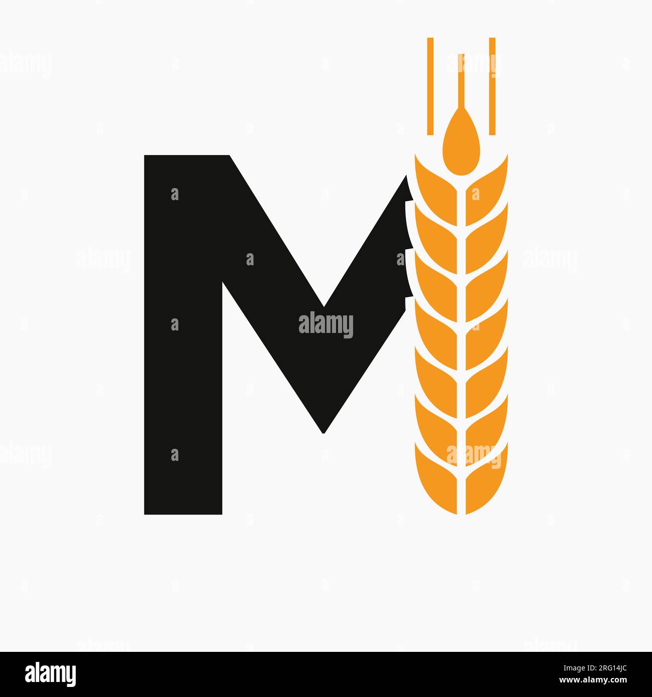 Letter M Wheat Logo For Agriculture Symbol Vector Template Stock Vector ...