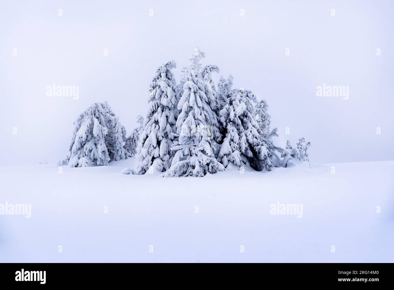 Surreal winter snowy scene fence hi-res stock photography and images ...