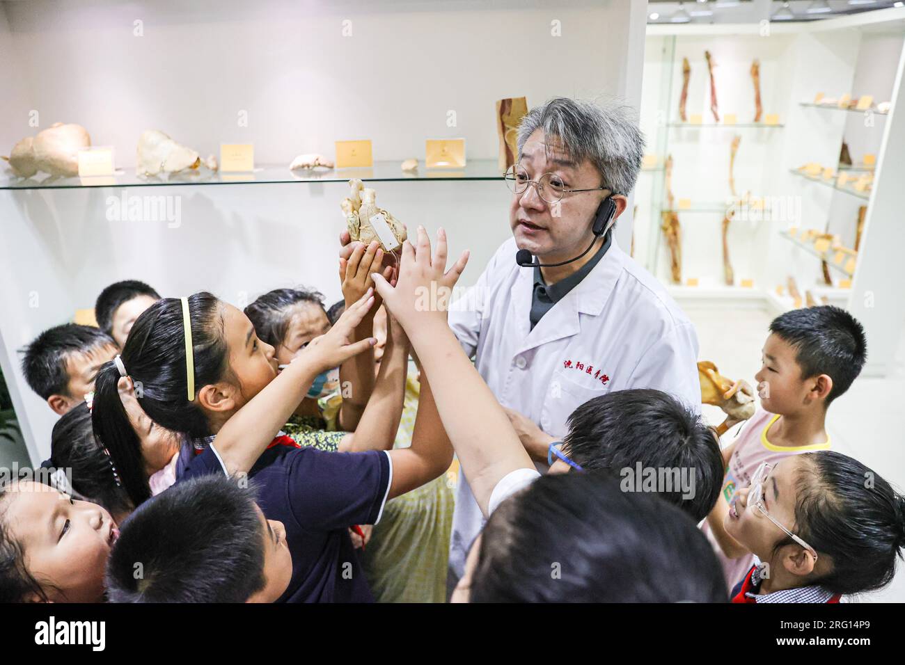 Students learn knowledge at the human science museum during summer ...