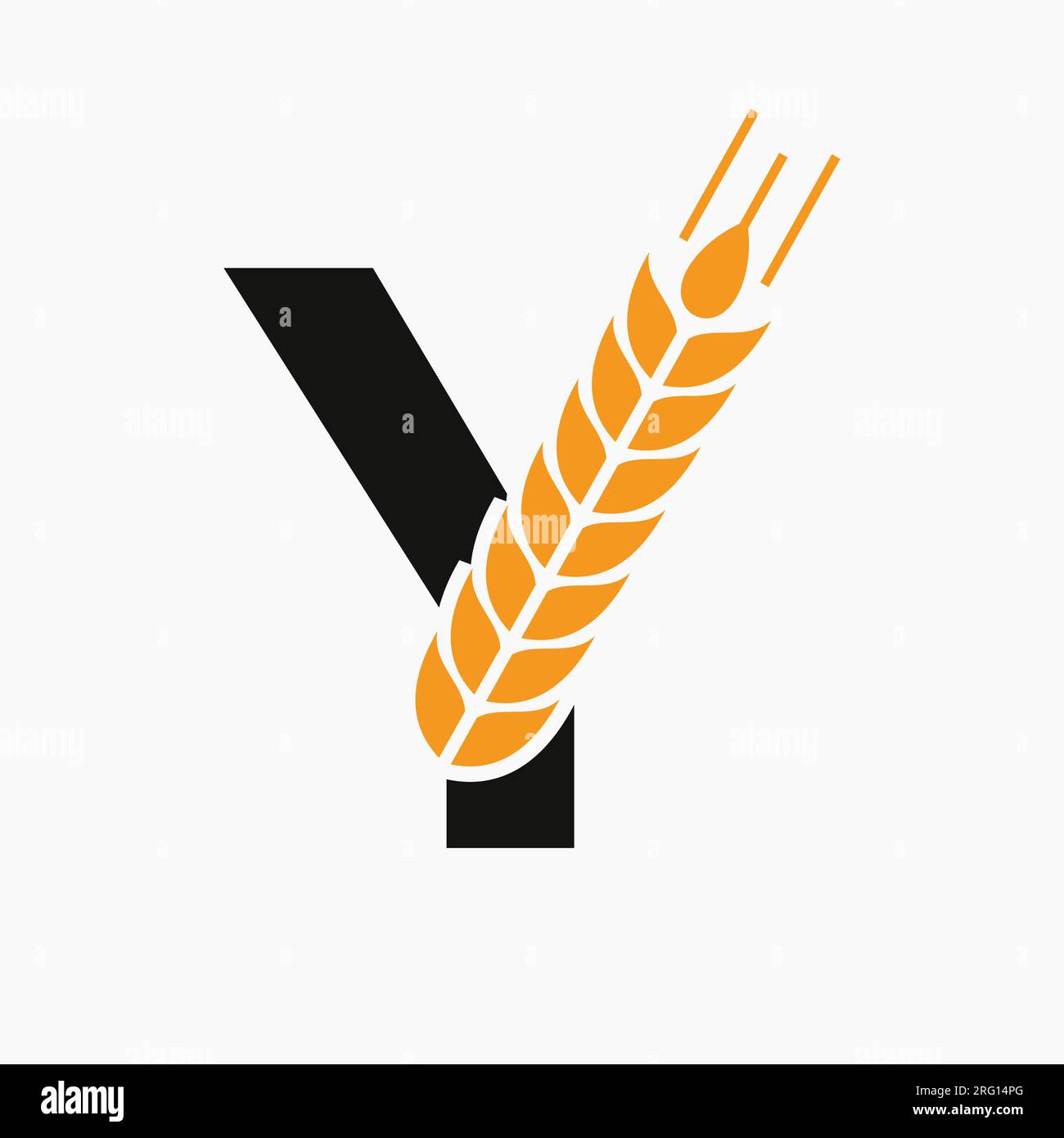 Letter Y Wheat Logo For Agriculture Symbol Vector Template Stock Vector ...