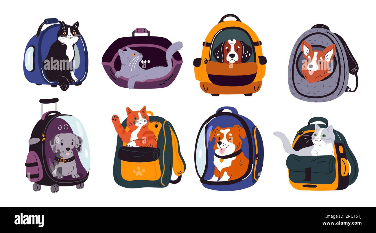 Cat carriers Stock Vector Images - Alamy