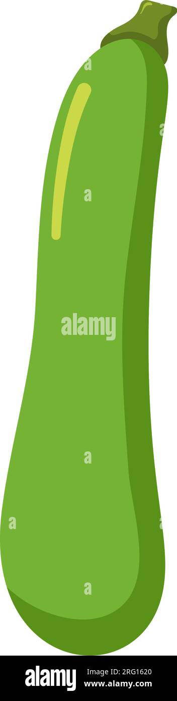 Funny cartoon courgette. Cute vegetable. Vector food illustration ...