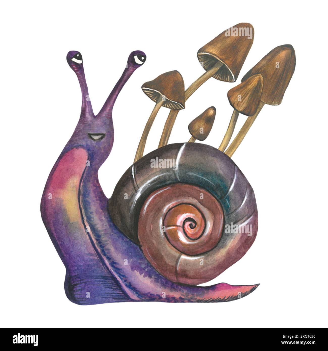 Watercolor illustration of a purple snail and toadstools. Composition ...