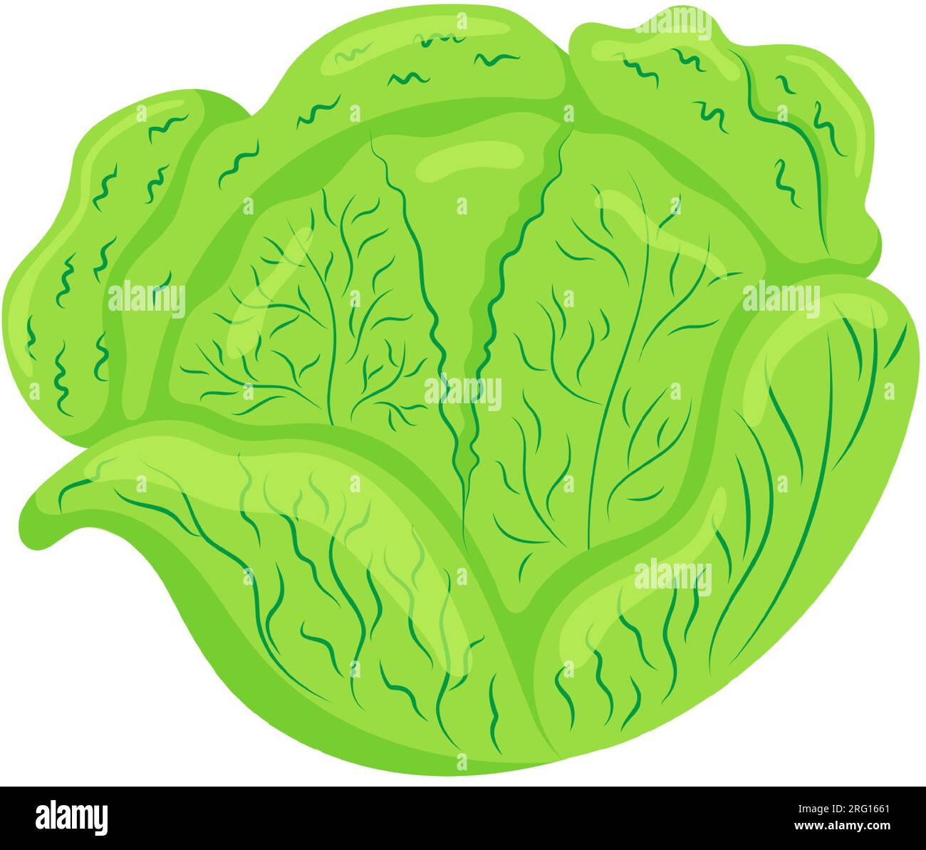 Funny cartoon cabbage. Cute vegetable. Vector food illustration ...
