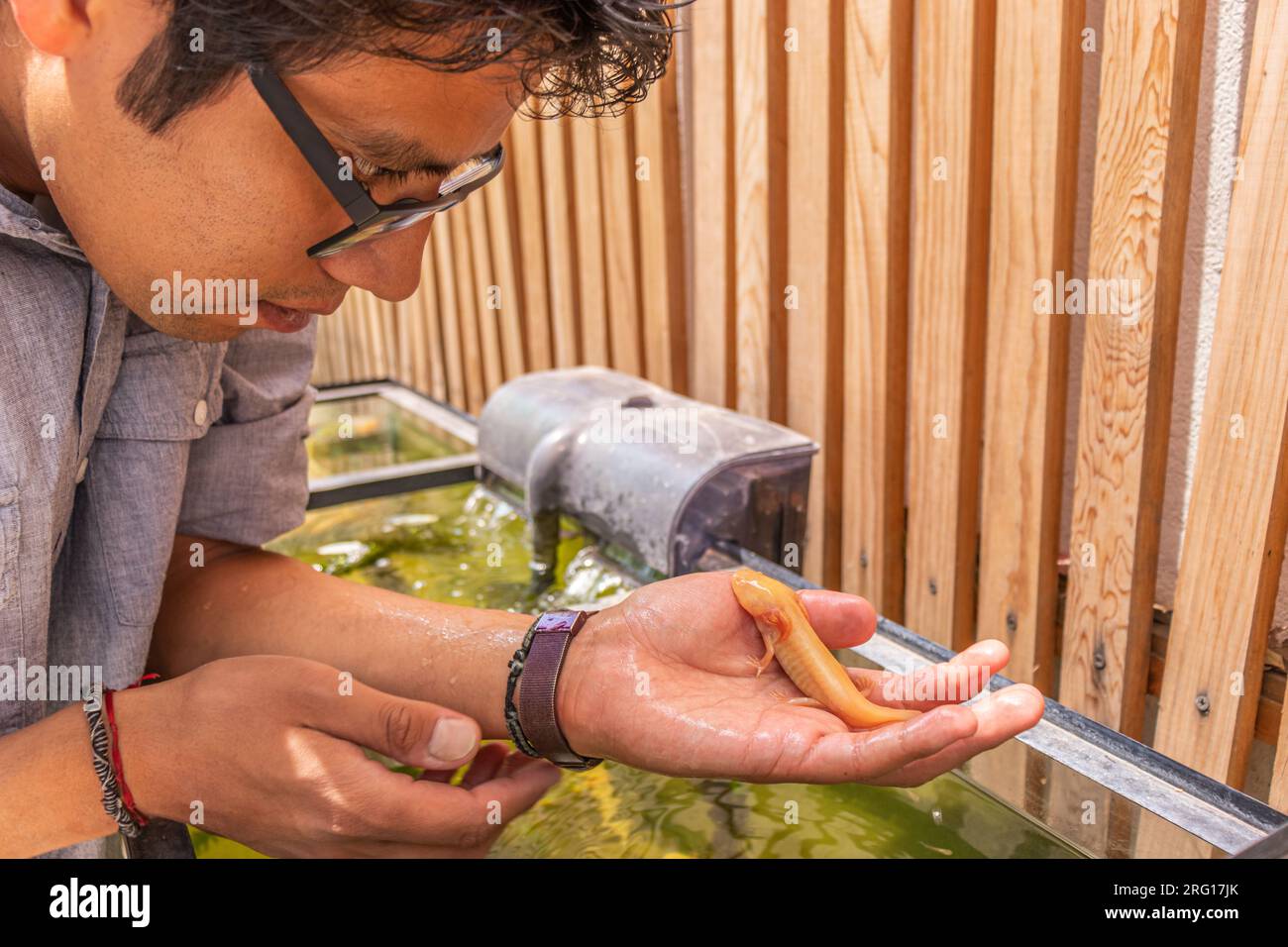 Side view of crop concentrated ethnic male in glasses looking at albino ...