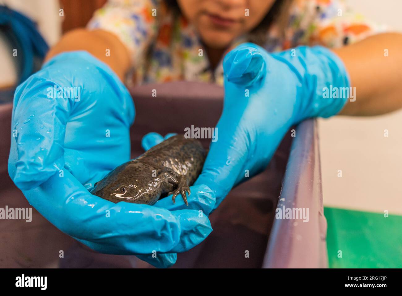 From above of blurred anonymous female in blue gloves looking down ...