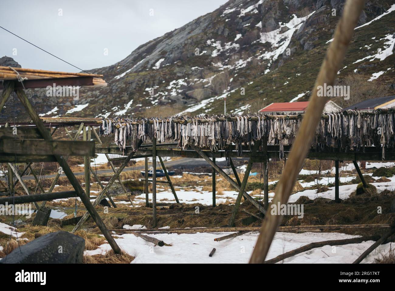 Fish drying barn hi-res stock photography and images - Alamy