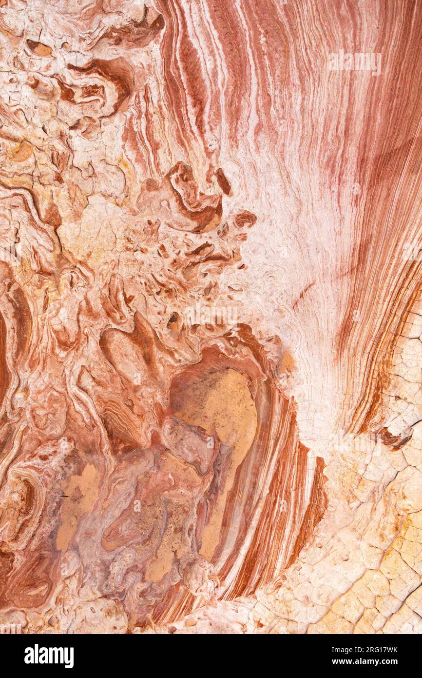 Rough surface of brown color with cracks and dry uneven texture paria ...