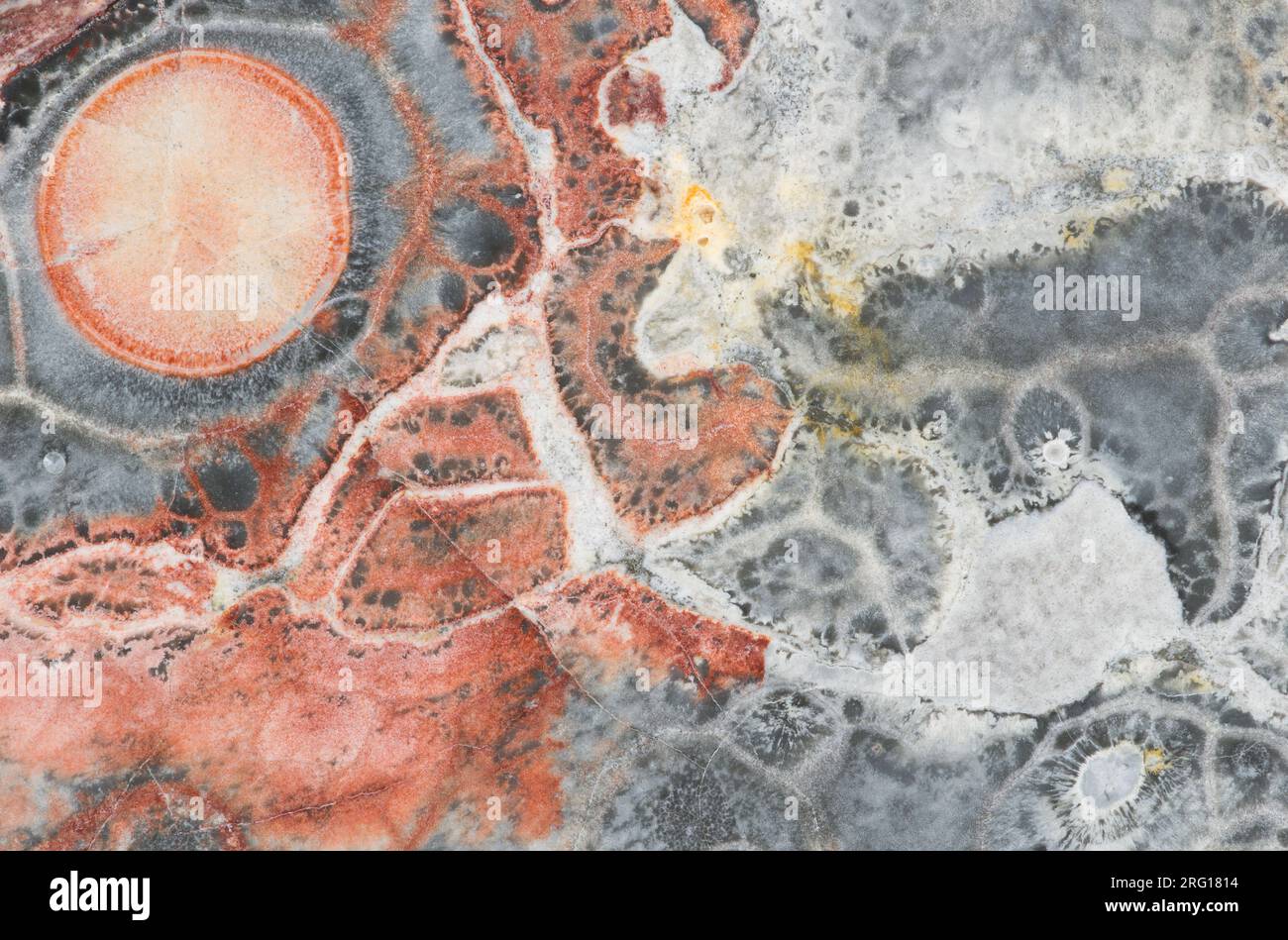 Macro photograph of the detail in Birds Eye rhyolite a rock of volcanic ...