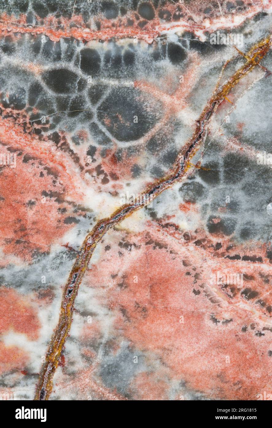 Macro photograph of the detail in a piece of Birds Eye rhyolite a rock ...