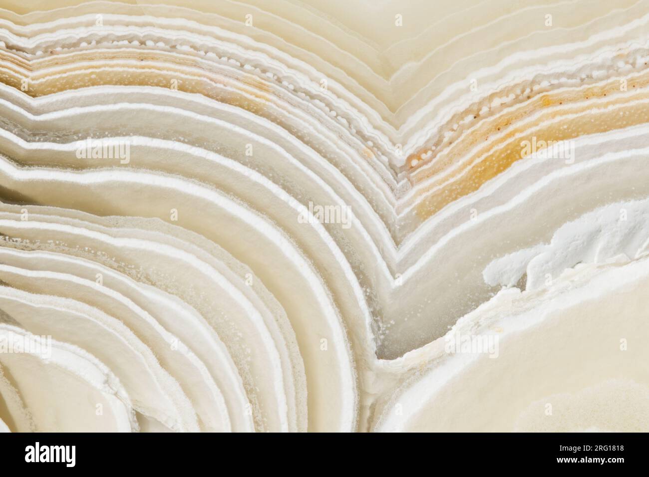 Macrophotograph of the banding pattern in a lace agate from Mexico ...