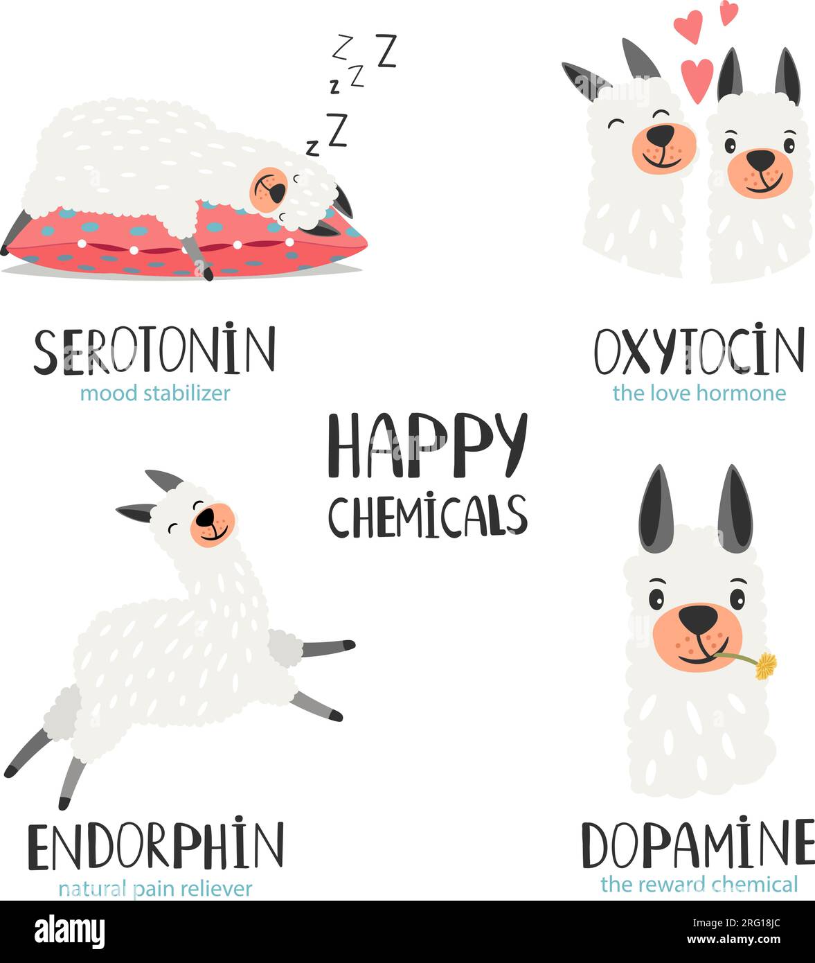 Serotonin, endorphin, dopamine, oxytocin. Hormone health icon. Hormones colorful vector ...