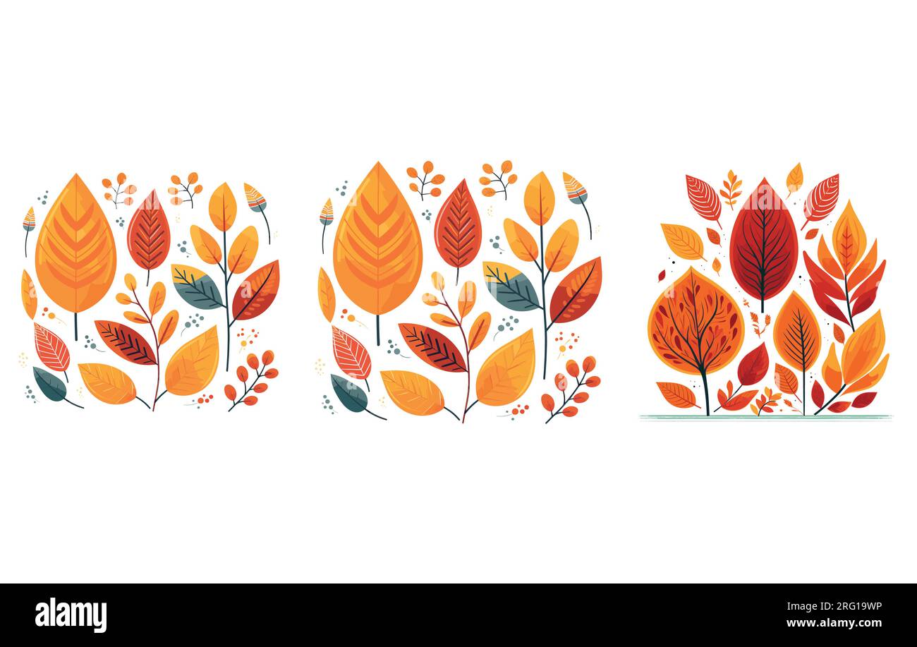 Broad leaf plant Stock Vector Images - Alamy