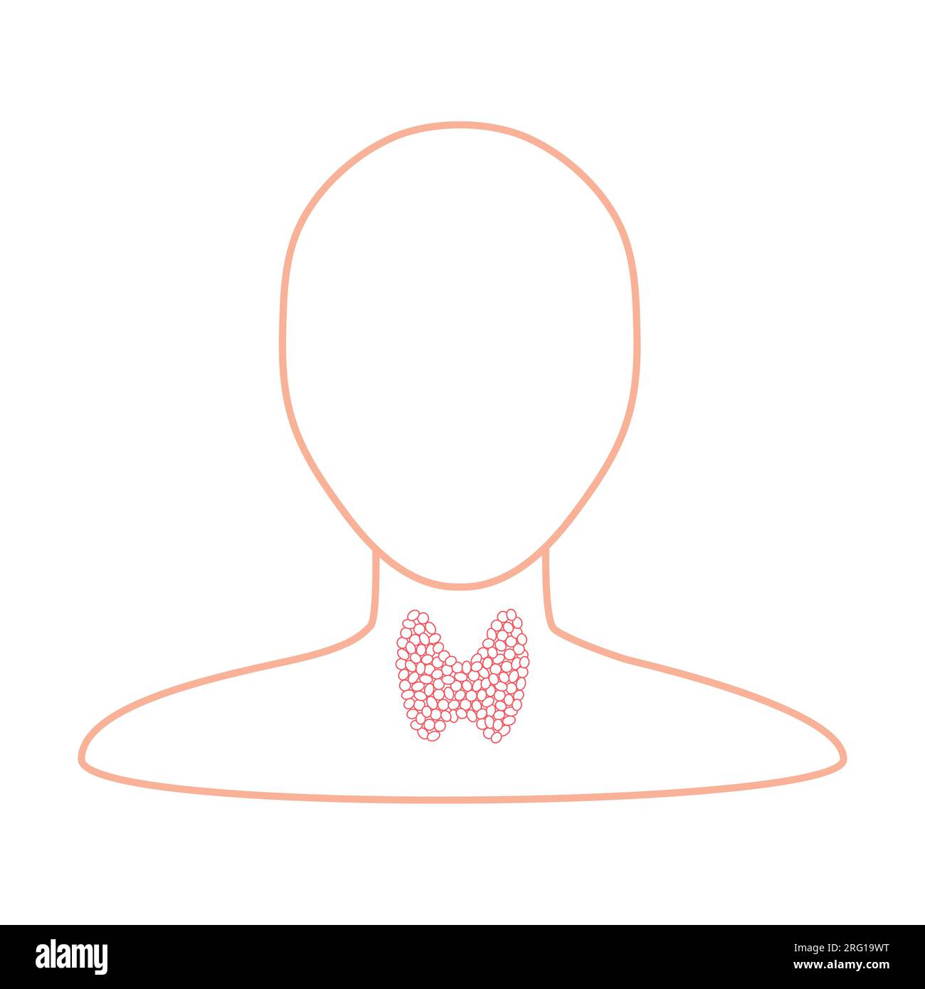 Thyroid gland organ on body silhouette icon Stock Vector Image & Art ...