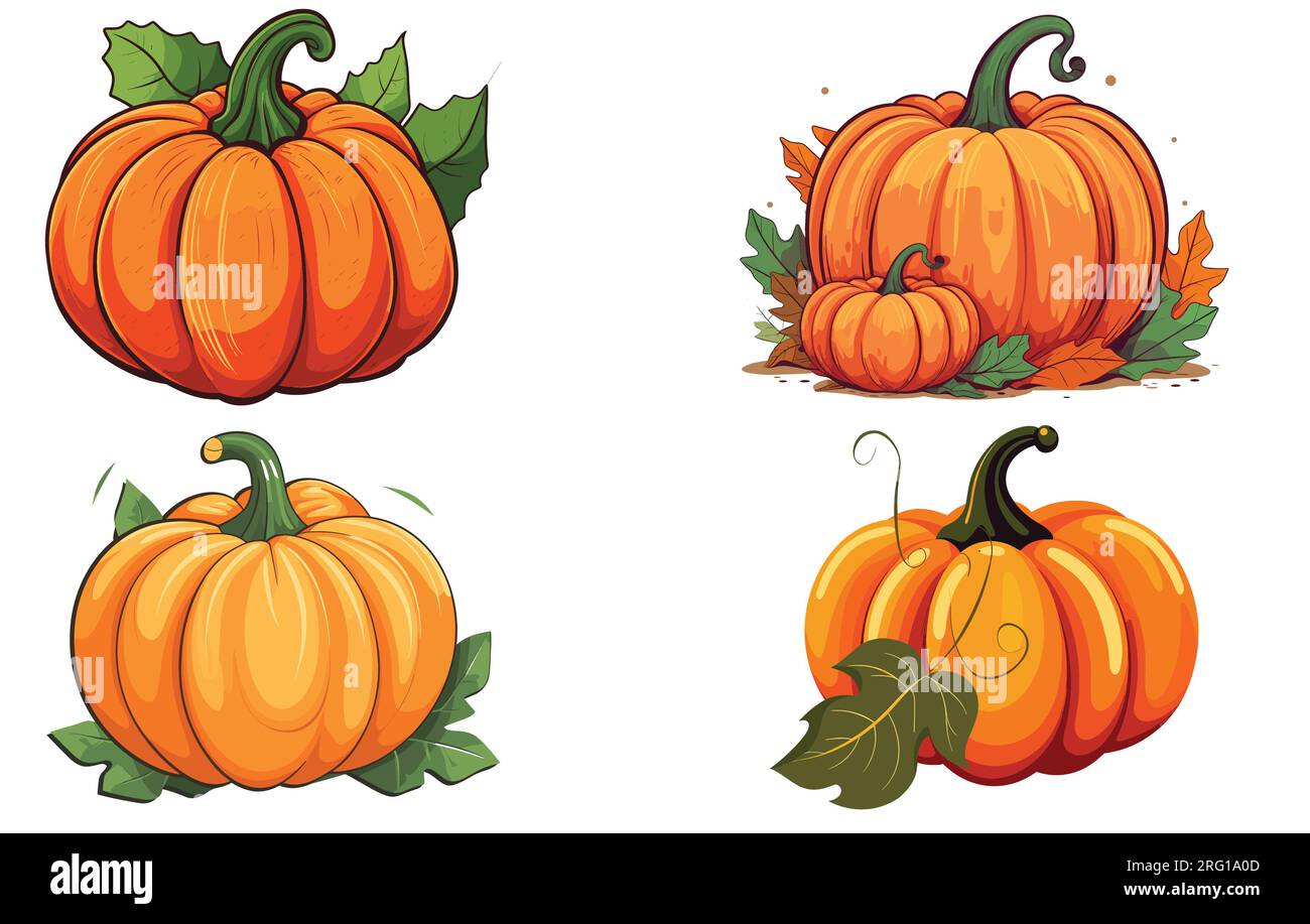 Pumpkin Leaf Drawing