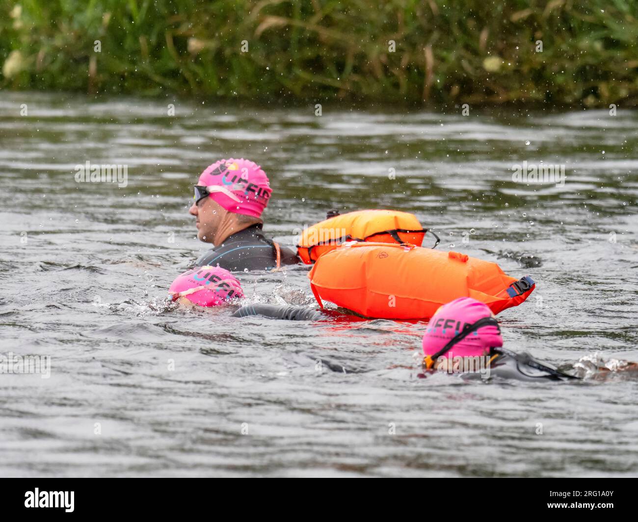 A group of swimmers in the River Brathay in Ambleside, Lake District ...
