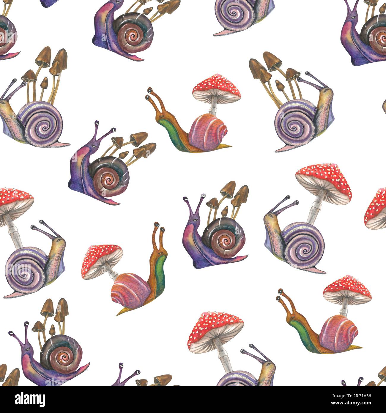 Watercolor illustration of snails, grebes and fly agarics on a white ...
