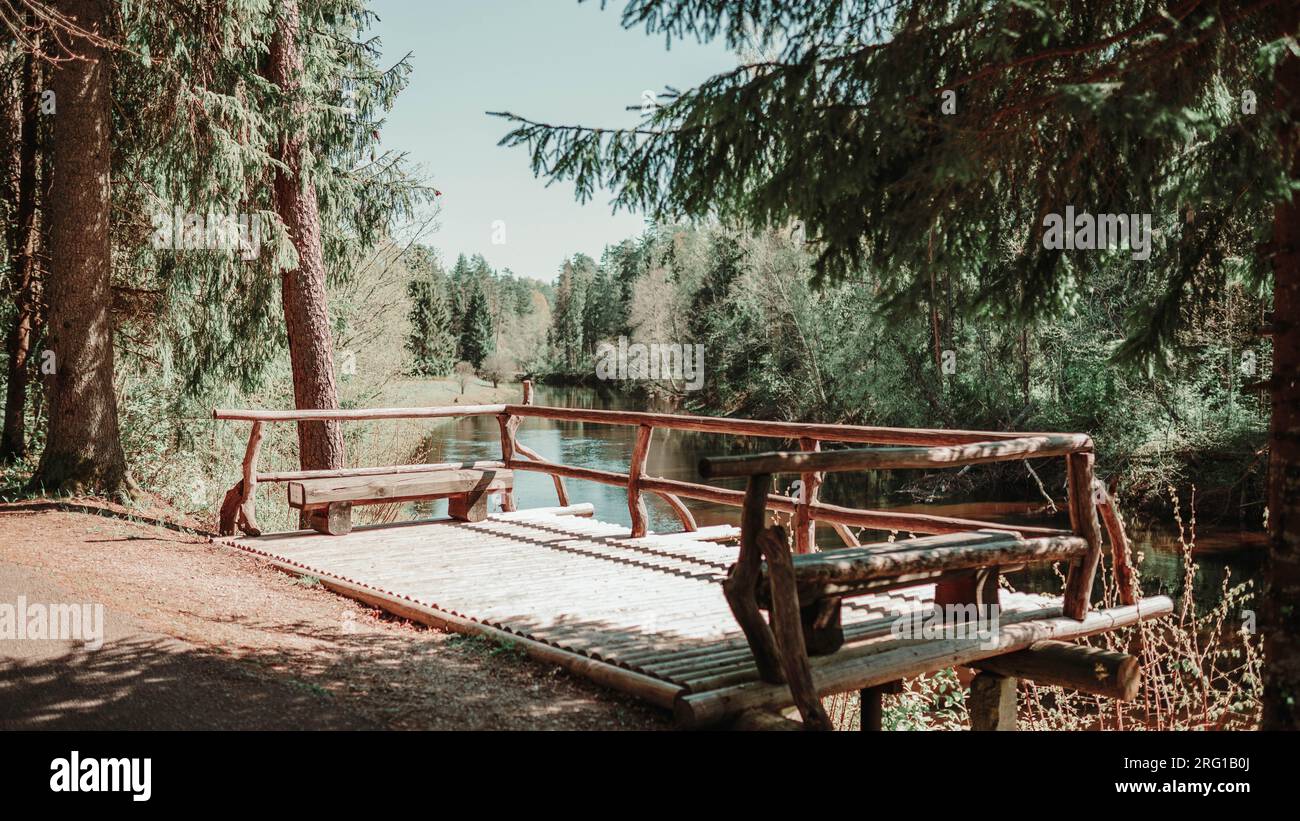 where the river dances between the pines Stock Photo - Alamy