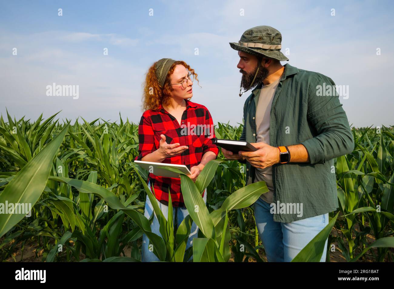 Portrait of farmers who are cultivating corn. They are examining progress of the plants ...