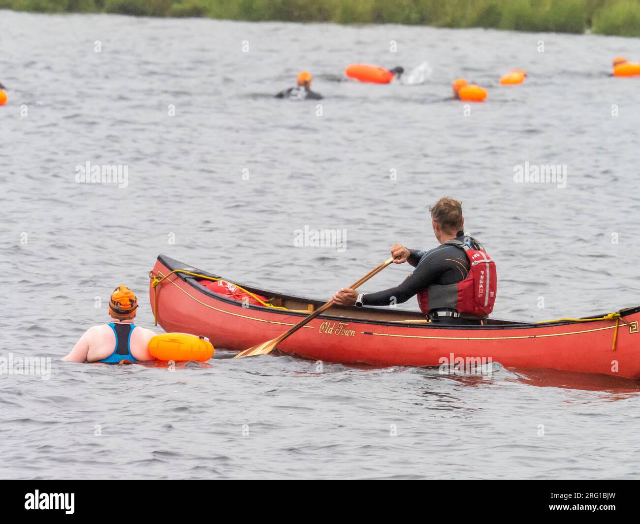People swimming in Lake Windermere in Ambleside, Lake District, UK ...