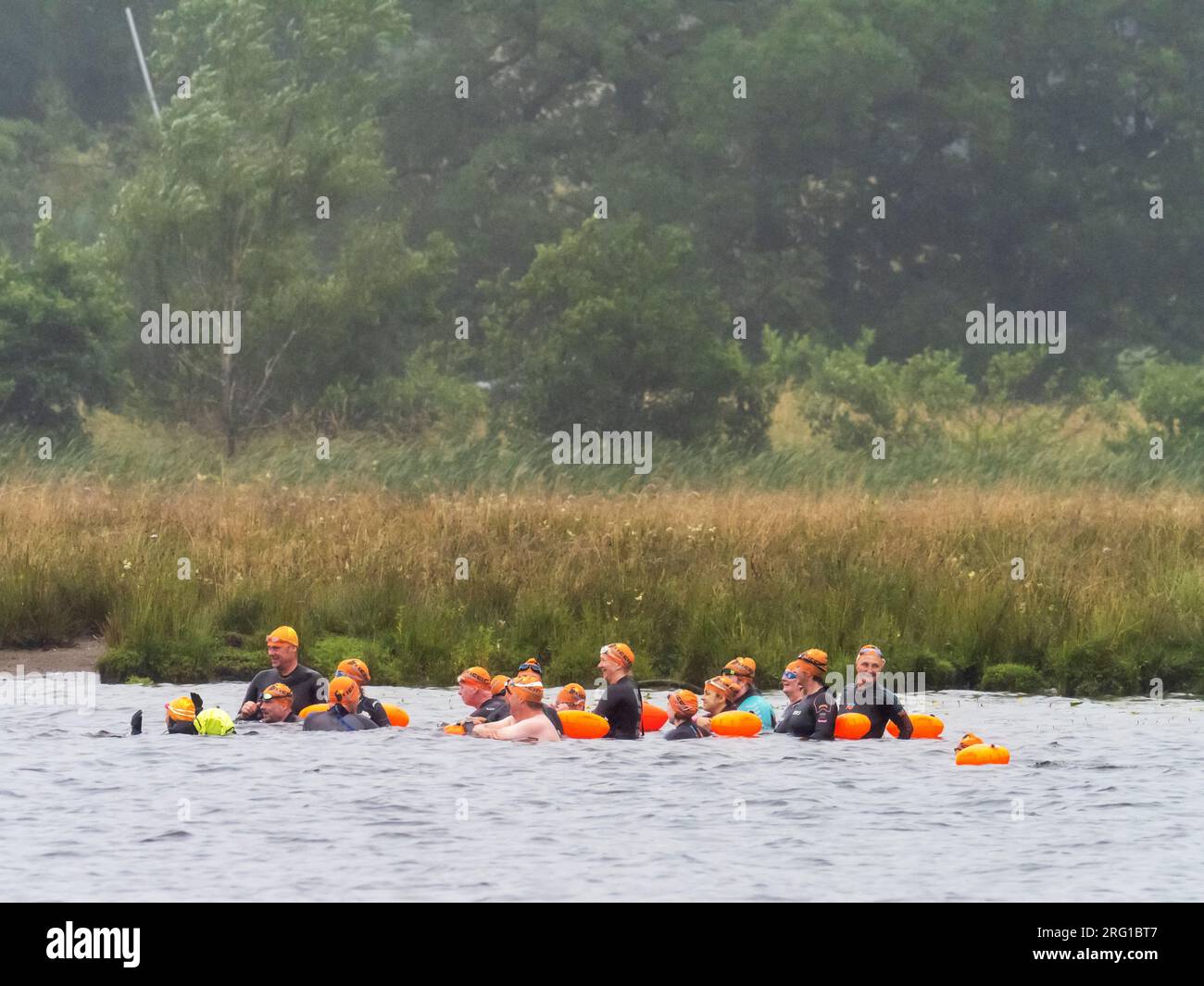 People swimming in Lake Windermere in Ambleside, Lake District, UK ...