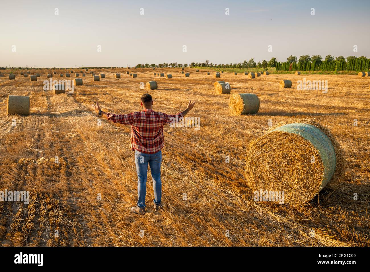 Happy farmer is standing beside bales of hay. He is satisfied because ...