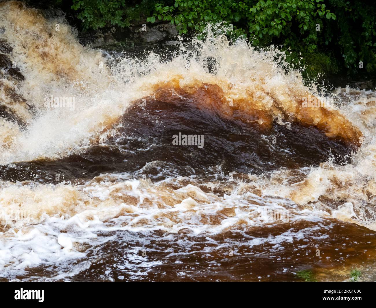 Peat stained flood waters in the River Ribble at Stainforth Force above ...