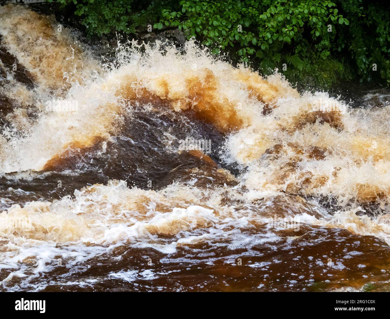 Peat stained flood waters in the River Ribble at Stainforth Force above ...
